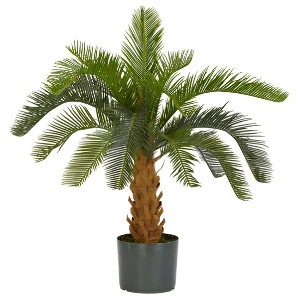 nearly natural Silk Cycas Plant in a Planter