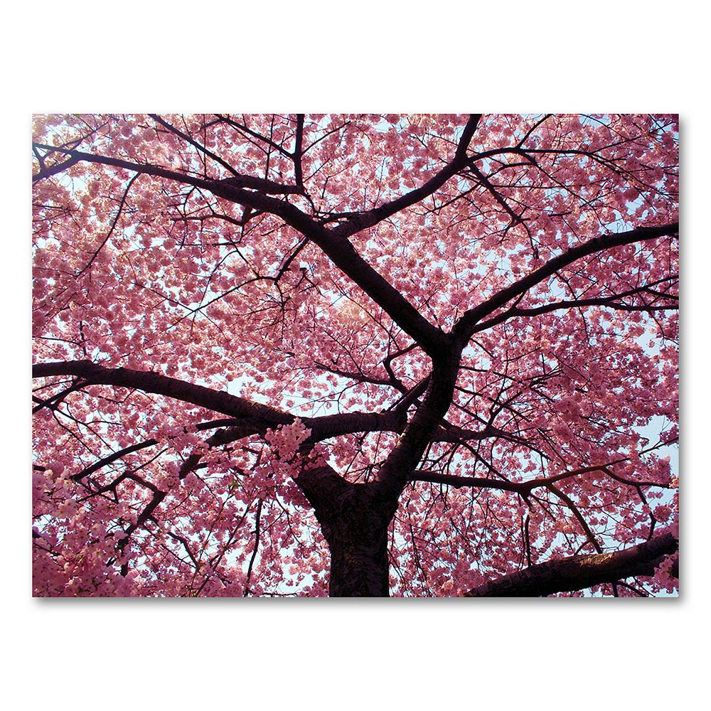 "Cherry Tree" 18" x 24" Canvas Wall Art by CATeyes