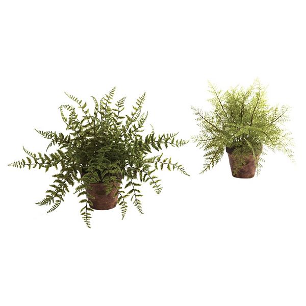 nearly natural 2-pc. Fern Arrangement Set