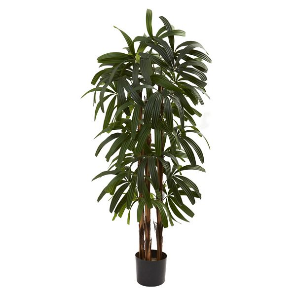 nearly natural 4-ft. Potted Raphis Tree