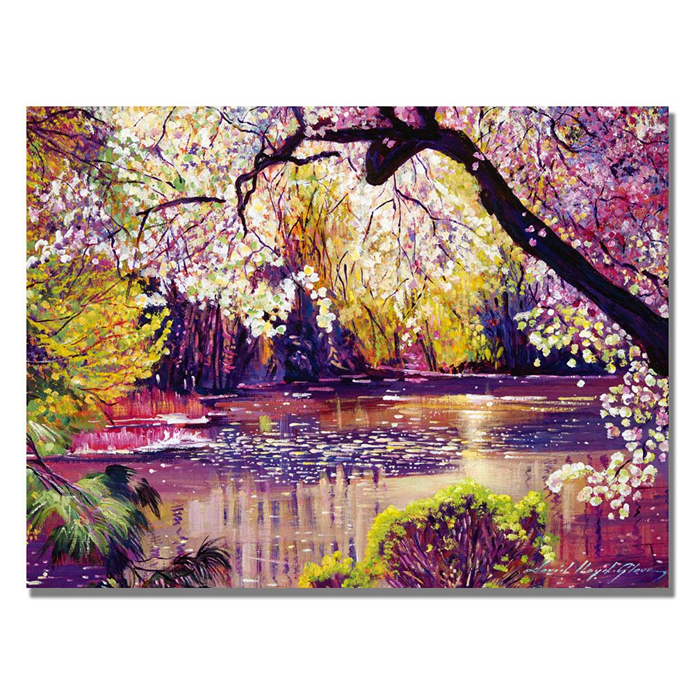 24'' x 32'' ''Central Park Spring Pond'' Canvas Wall Art by David Lloyd ...
