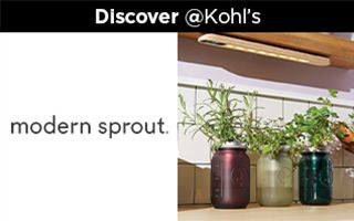 Modern Sprout Bright Side Seed Balls - Grow Comfort