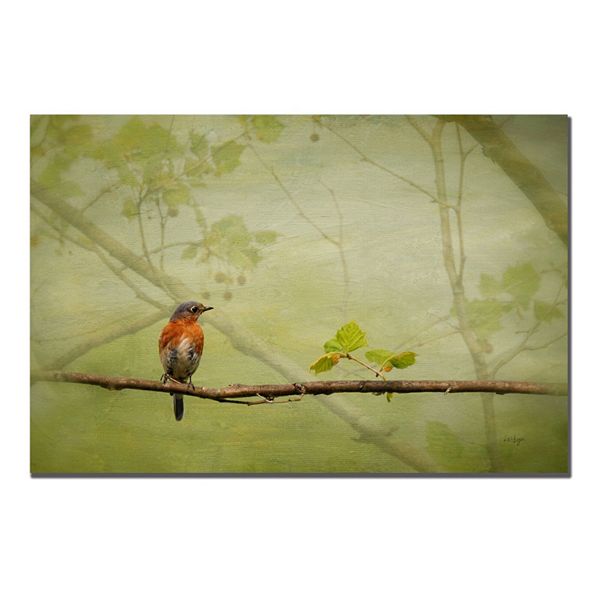 "Bluebird in Spring" Canvas Wall Art