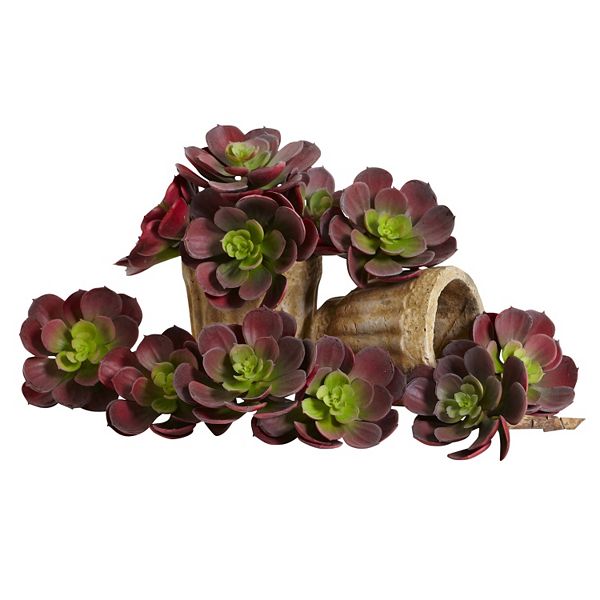 nearly natural 12-piece Echeveria Succulent Plant Set
