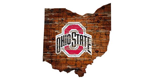 Ohio State Buckeyes Distressed 24" x 24" State Wall Art