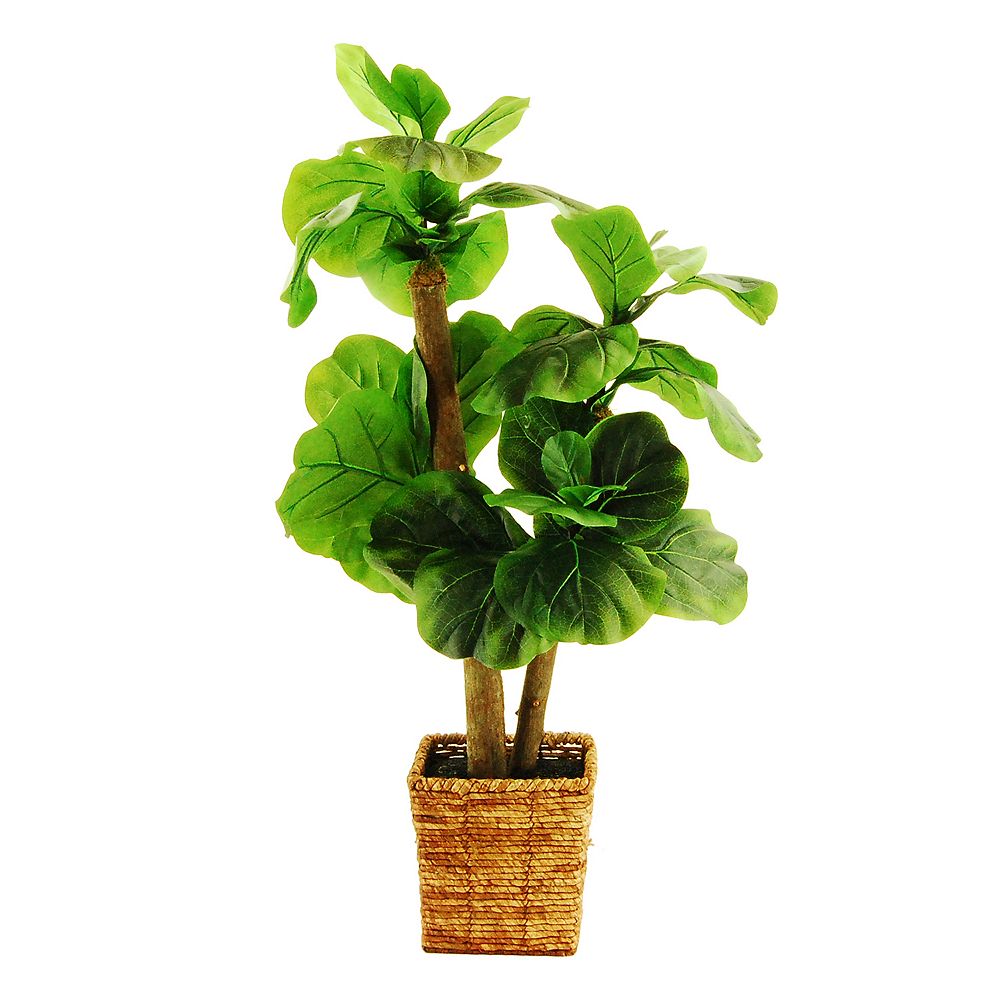 Designs by Lauren Artificial Fiddle Leaf Fig Tree