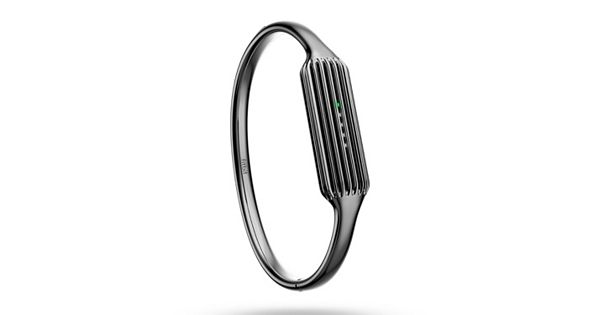 Fitbit Flex 2 Metal Bangle