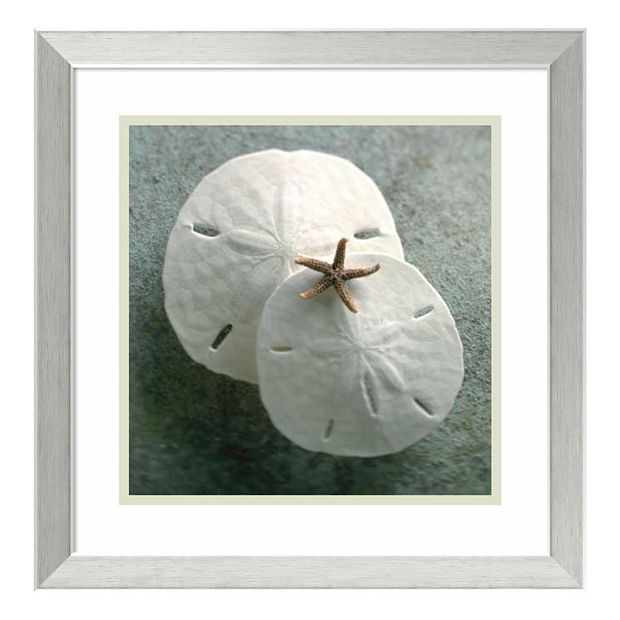 Sand Dollar Framed Art