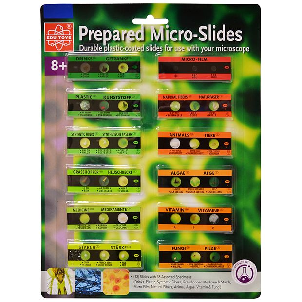 Prepared Microscope Slides For Kids