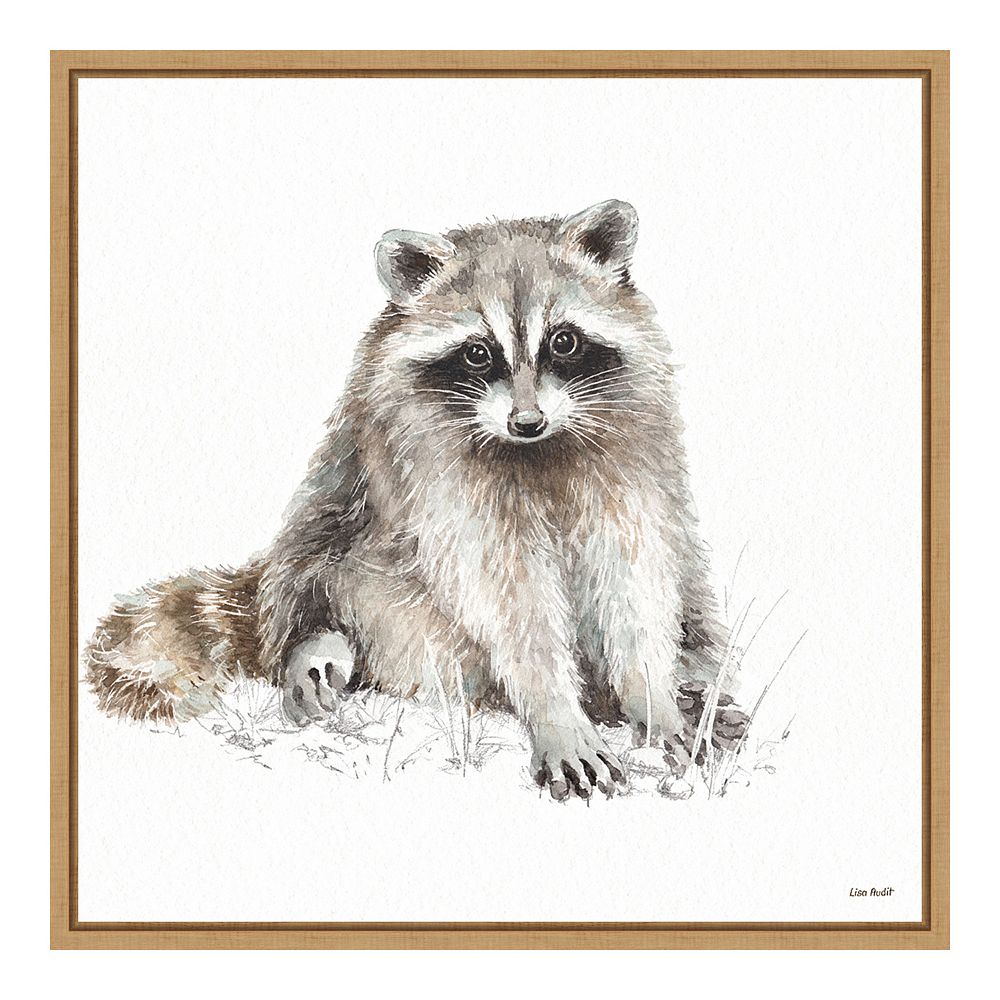 Amanti Art "Forest Friends X (Raccoon)" Framed Canvas Print