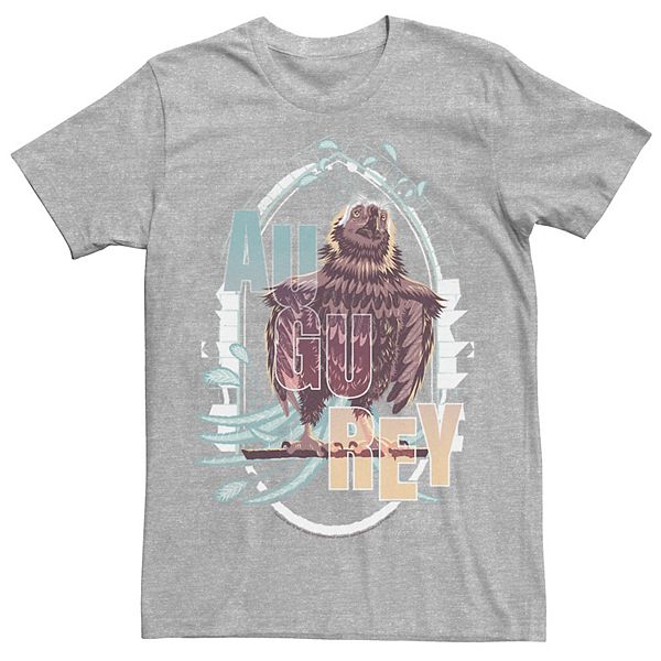 Men's Harry Potter Fantastic Beasts Augurey The Irish Phoenix Graphic Tee