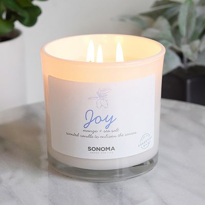 Sonoma Goods For Life 13 oz. Joy 3 Wick Candle Mango Sea Salt