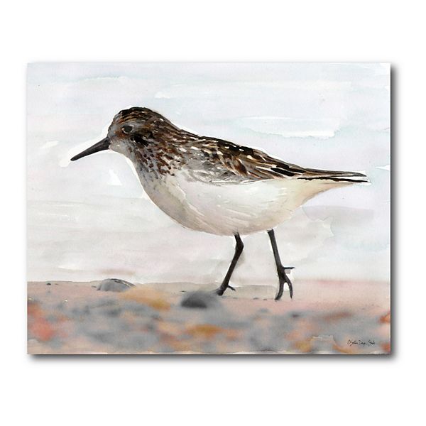COURTSIDE MARKET Sandpiper II Gallery Canvas Wall Art