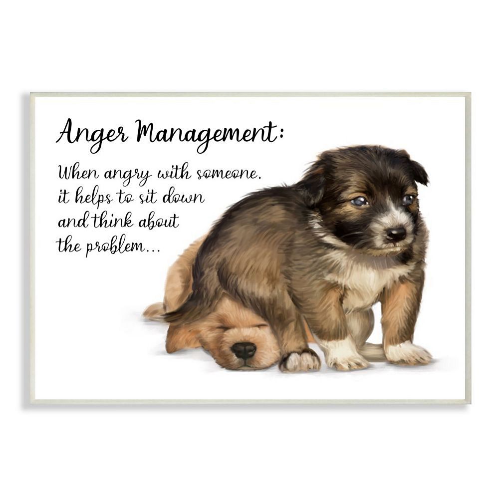 Stupell Home Decor Anger Management Advice Dog Humor Plaque Wall Art