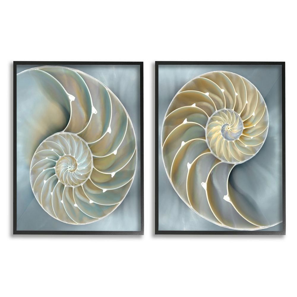 Stupell Home Decor Intricate Nautilus Interior Framed Wall Art 2-piece Set
