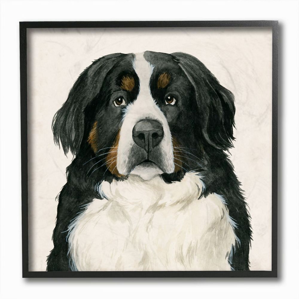 Stupell Home Decor Bernese Dog Framed Wall Art