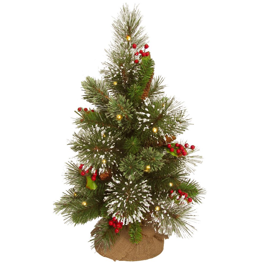 National Tree Company 18-in. Pre-Lit Wintry Pine Artificial Christmas ...