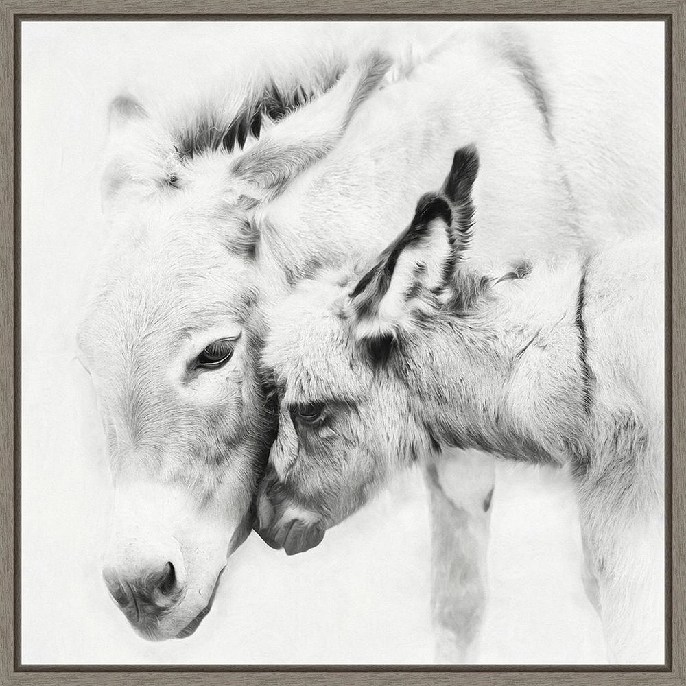 Amanti Art Donkey Portrait III PHBurchett Framed Canvas Wall Art