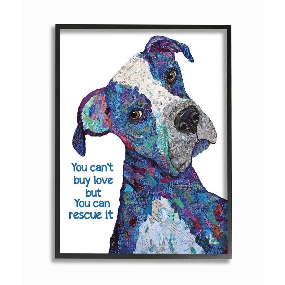 Stupell Home Decor You Can Rescue Love Colorful Pet Dog Framed Wall Art