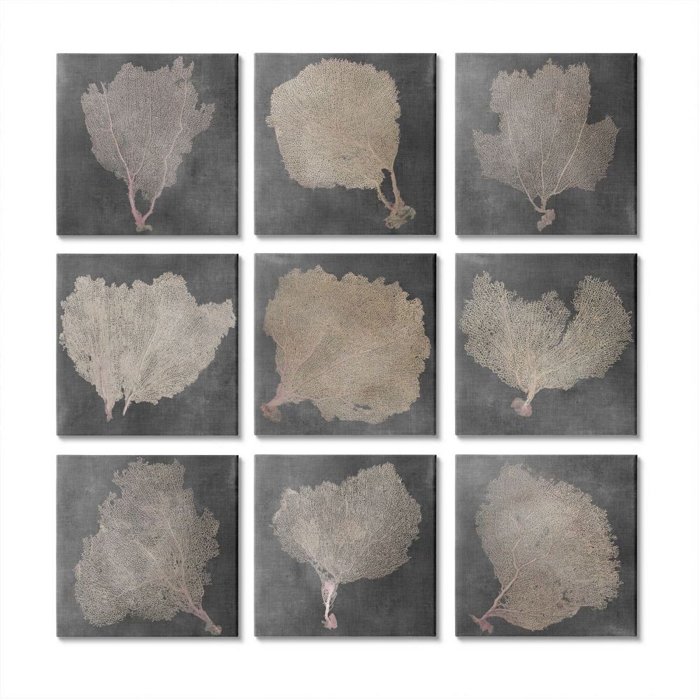 Stupell Home Decor Nautical Sea Fans Canvas Wall Art 9-piece Set