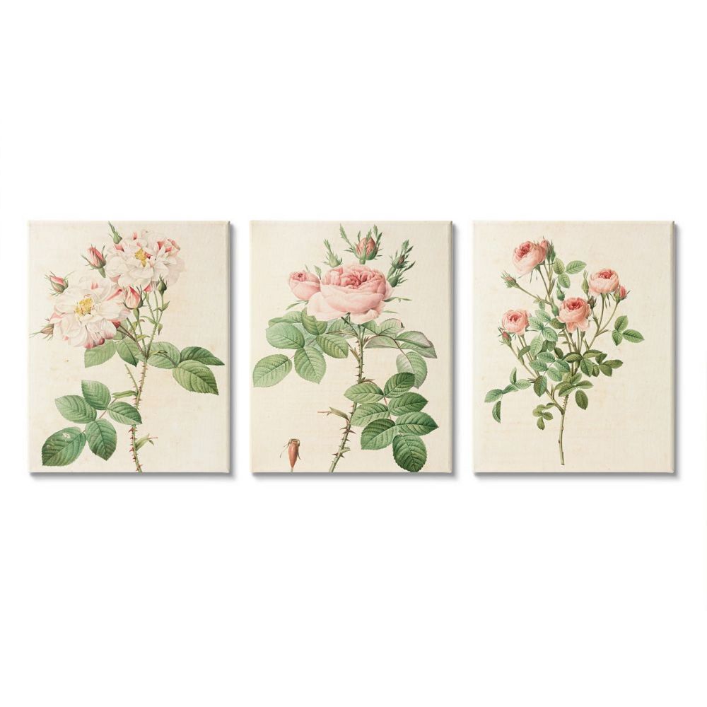 Stupell Home Decor Vintage Rose Canvas Wall Art 3-piece Set