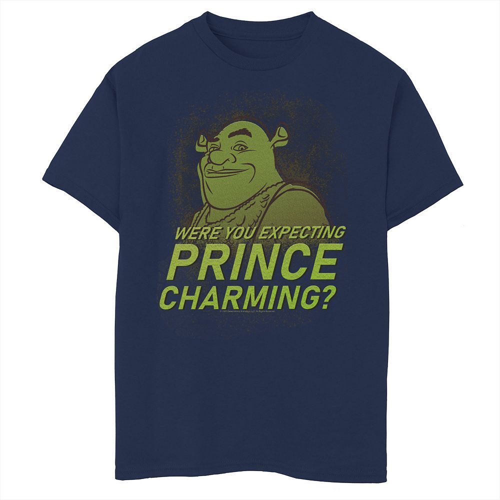 Boys 8-20 Shrek Were You Expecting Prince Charming Graphic Tee