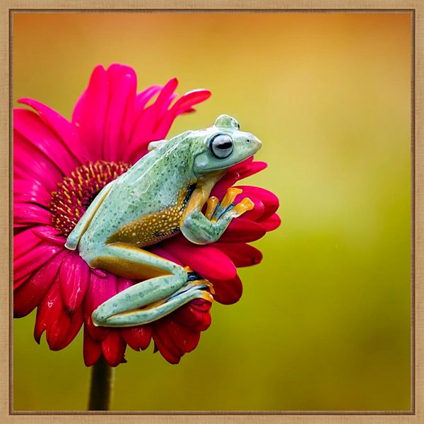 Amanti Art Pretty Frog on Pink Flower Framed Canvas Wall Art