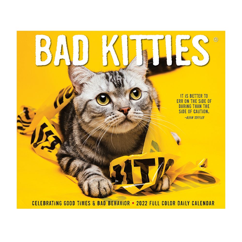 Bad Kitties 2022 Box Calendar Table Decor