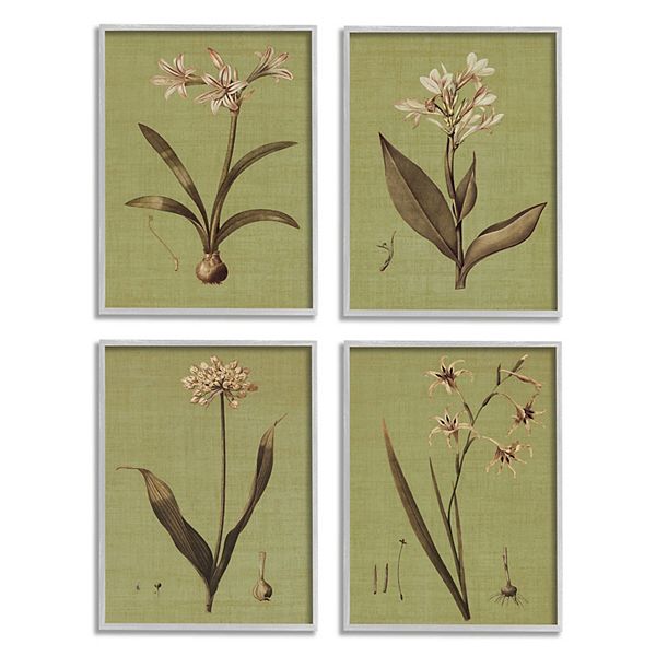 Stupell Home Decor Botanical Plant Framed Wall Art 4-piece Set