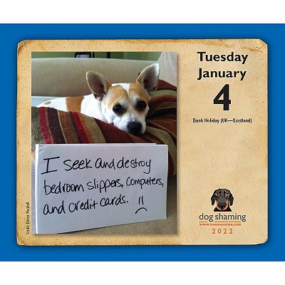 Dog Shaming Calendar