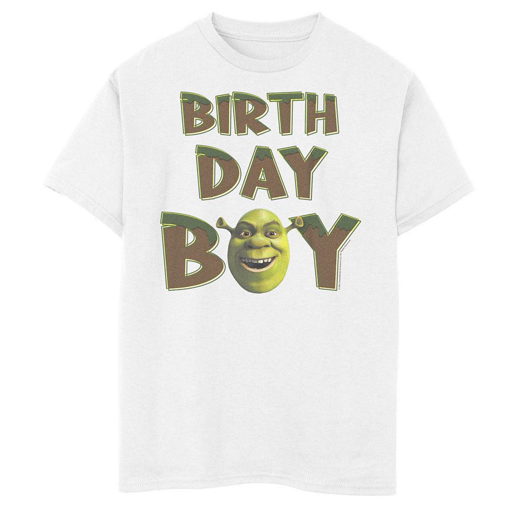 Boys 8-20 Shrek Birthday Boy Portrait Tee
