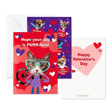 Hallmark 24-Count Valentine's Day "Puppies & Kittens" Greeting Cards ...