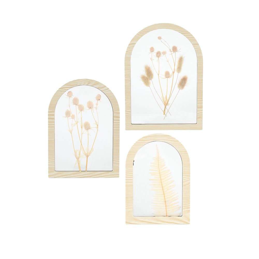 Sonoma Goods For Life® Pressed Botanical Wall Decor 3-piece Set