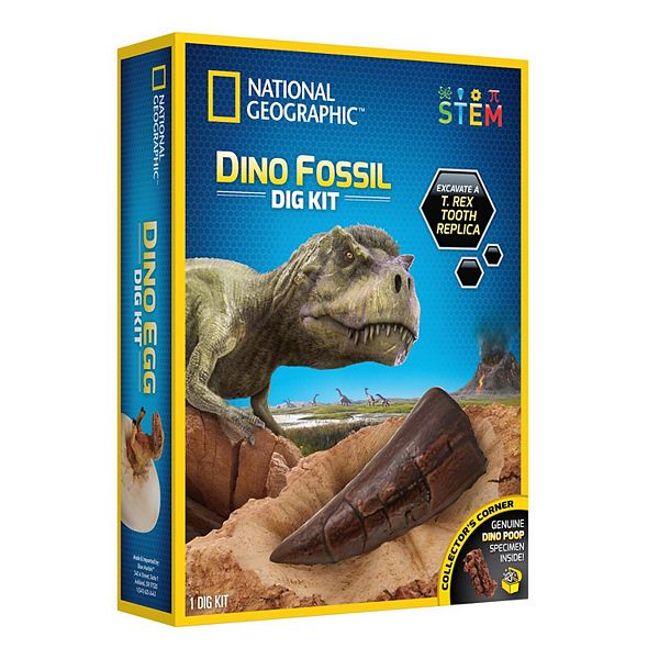 National Geographic Dino Fossil Dig Kit