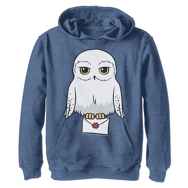 Boys 4-20 Harry Potter Hedwig Cute Cartoon Portrait Graphic Hoodie