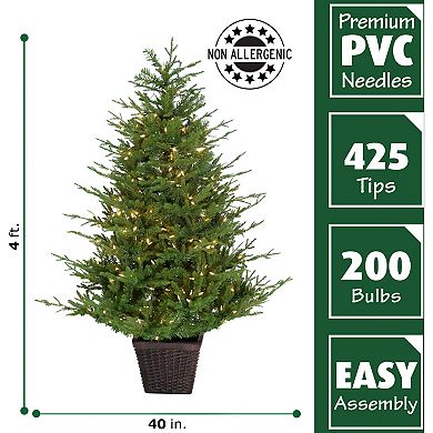 National Tree Company 4-ft. Adirondack Pre-Lit Potted Artificial Christmas Tree Decor