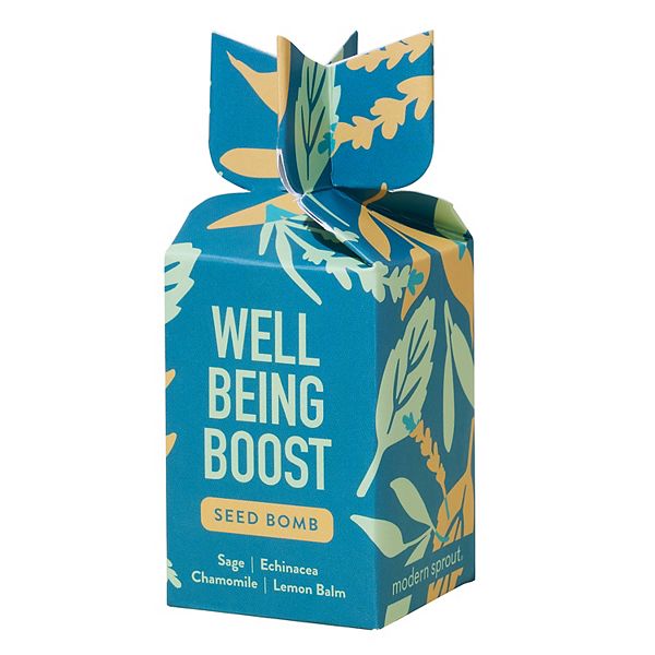 Modern Sprout Seed Bomb - Well Being Boost