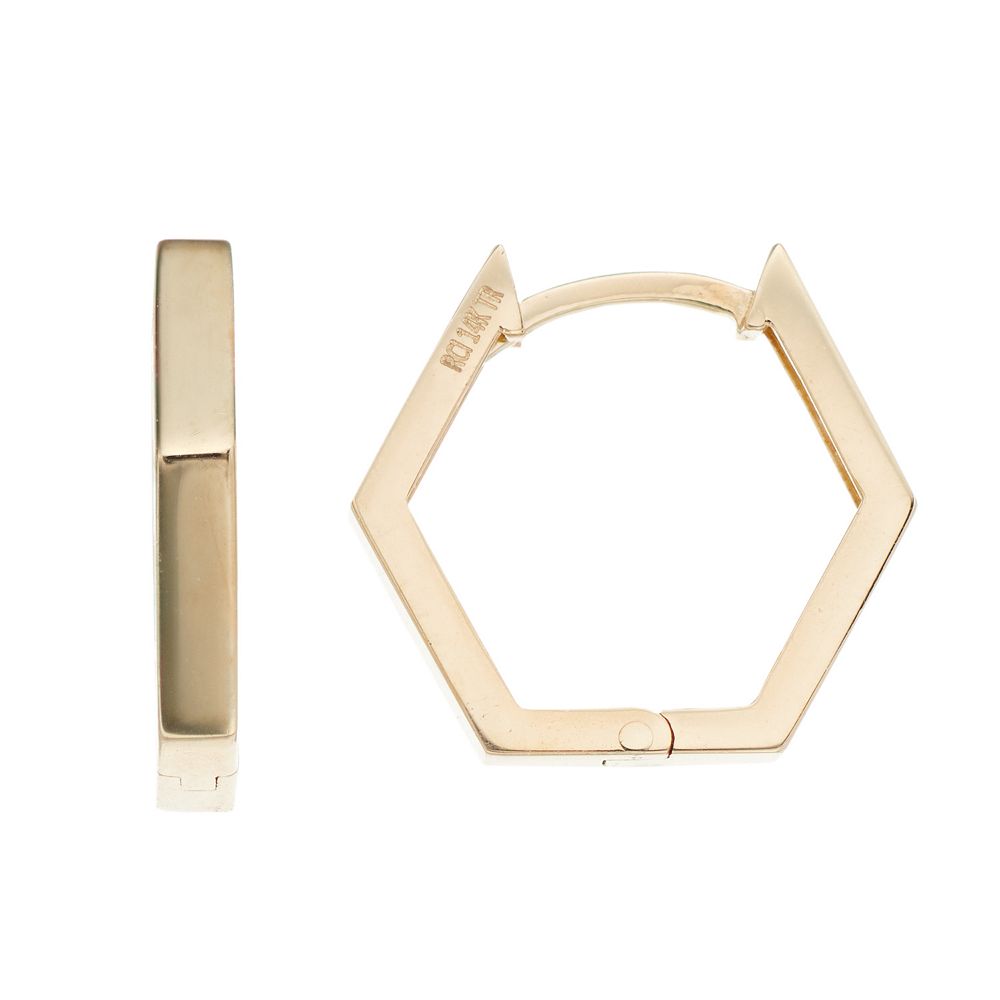 Karat Rush 14k Gold Hexagon Earrings