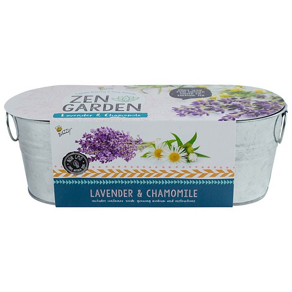 Buzzy Seeds Zen Garden Windowsill Grow Kit