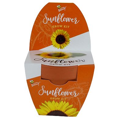 Buzzy Seeds Classic Terra Cotta Sunflower Grow Kit