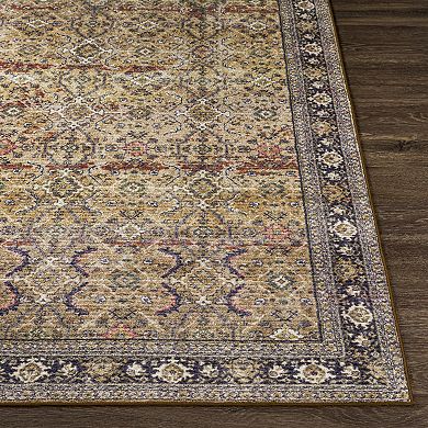 Decor 140 Alais Traditional Washable Area Rug