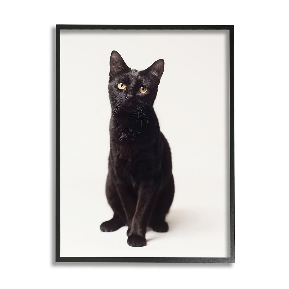 Stupell Home Decor Cute Black Cat Framed Wall Art