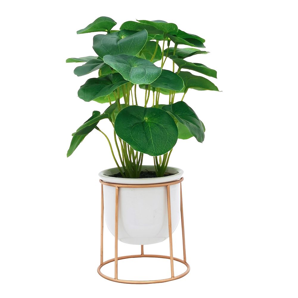 Sonoma Goods For Life® Friendship Plant & Ceramic Pot with Gold Metal Stand