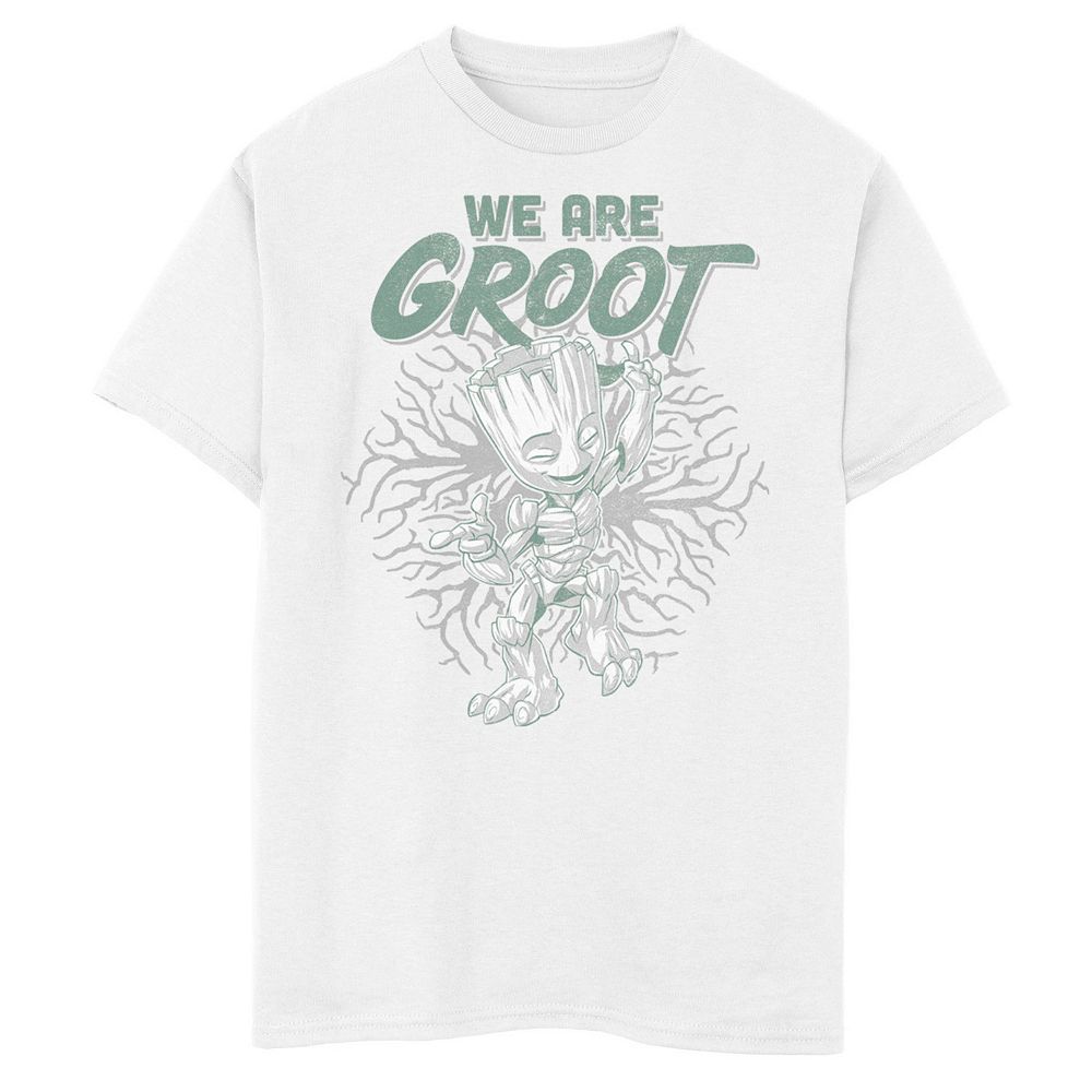 Boys 6-20 Marvel We Are Groot Graphic Tee