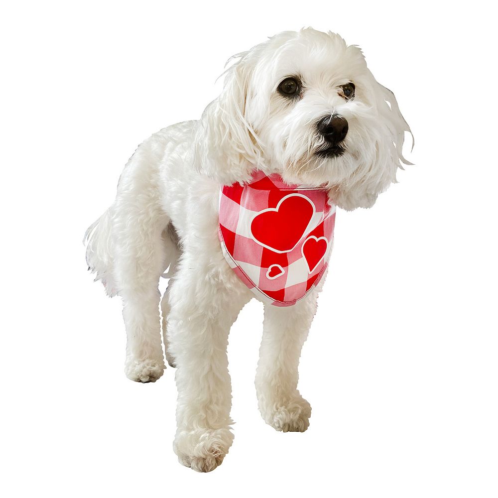 Woof Hearts Bandana