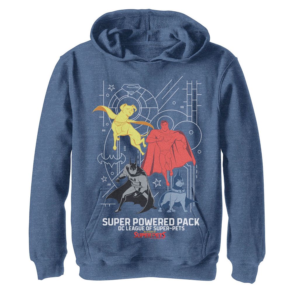 Boys 4-20 DC Super Pets Power Pack Super Dou And Bat Duo Hoodie
