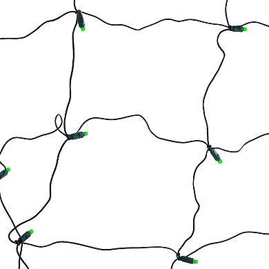 Sunnydaze 6 x 4 ft Indoor/Outdoor Netted Wide Angle LED Lights - Green