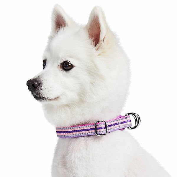 Blueberry Pet Reflective Multi-color Stripe Dog Collar