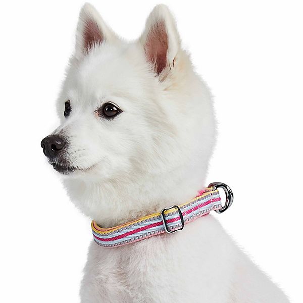 Blueberry Pet Reflective Multi-color Stripe Dog Collar