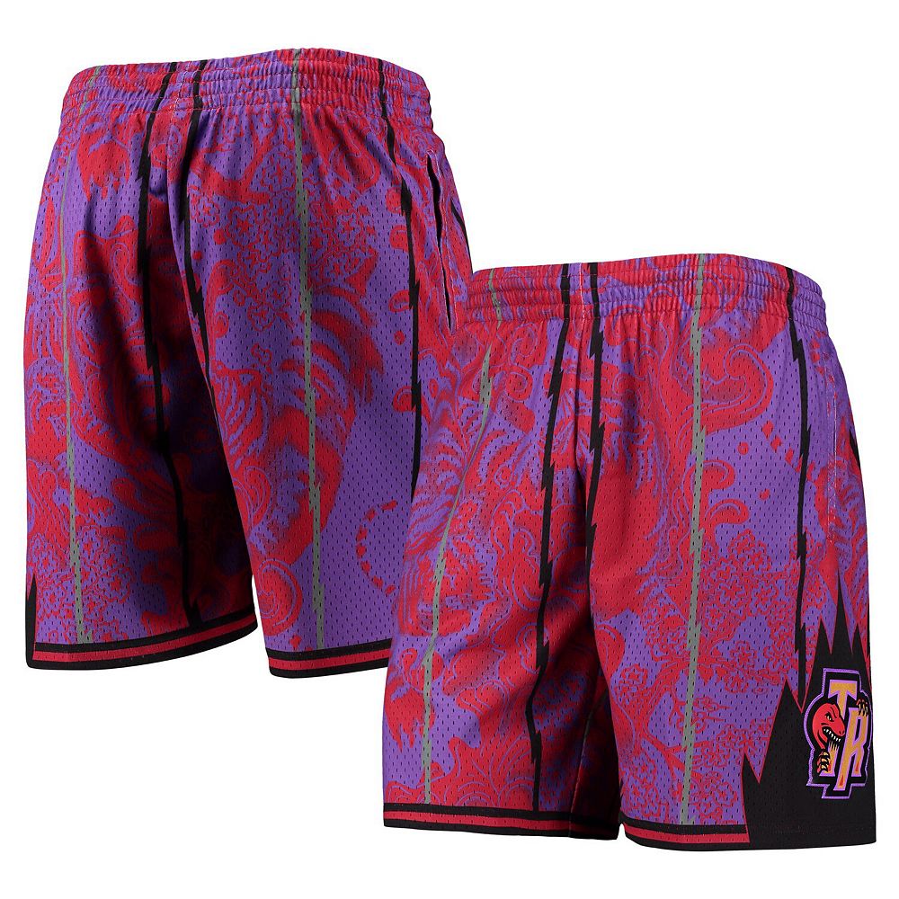 Men's Mitchell & Ness Purple Toronto Raptors Hardwood Classics Lunar ...